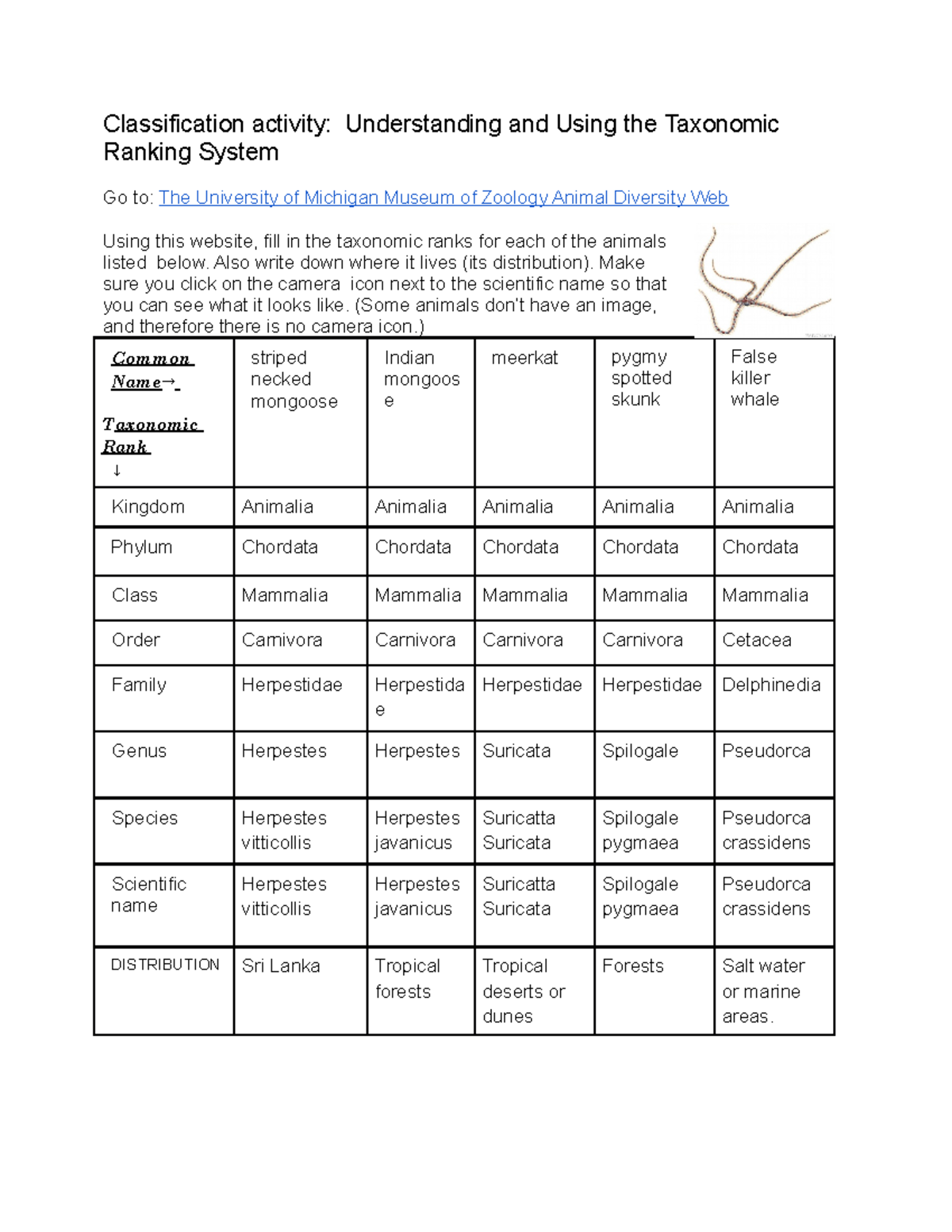 Classification Activity - Also write down where it lives (its ...