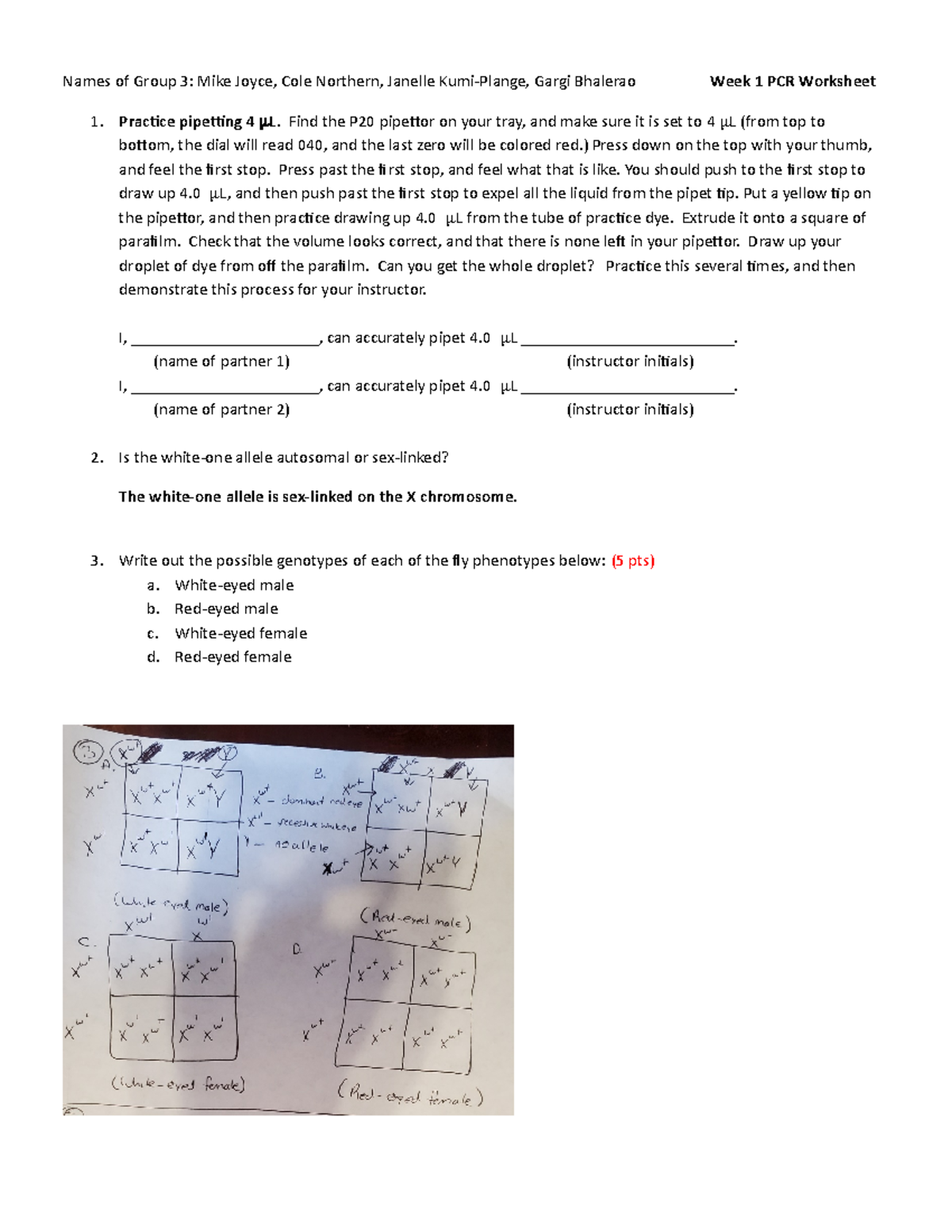 PCR Week 1 Worksheet - 20FS - Group 3 - Names of Group 3: Mike Joyce ...