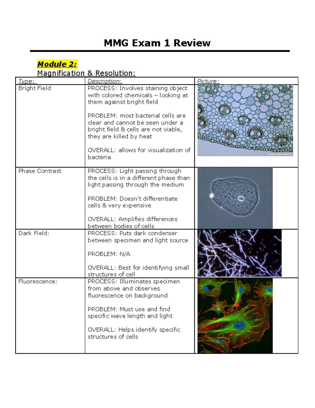 MMG Exam 1 Review - MMG Exam 1 Review Module 2: Magnification ...