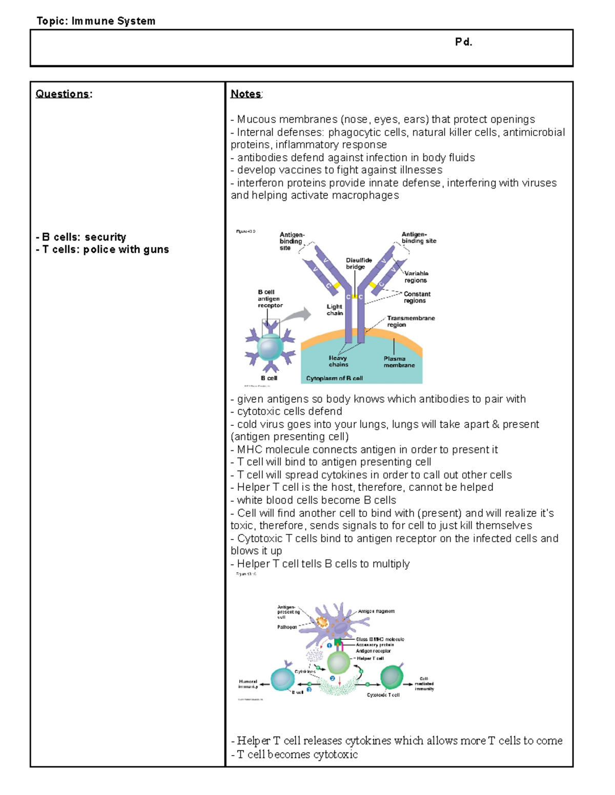 Ch 43 Immune System - Topic: Immune System Pd. Questions: **- B cells ...