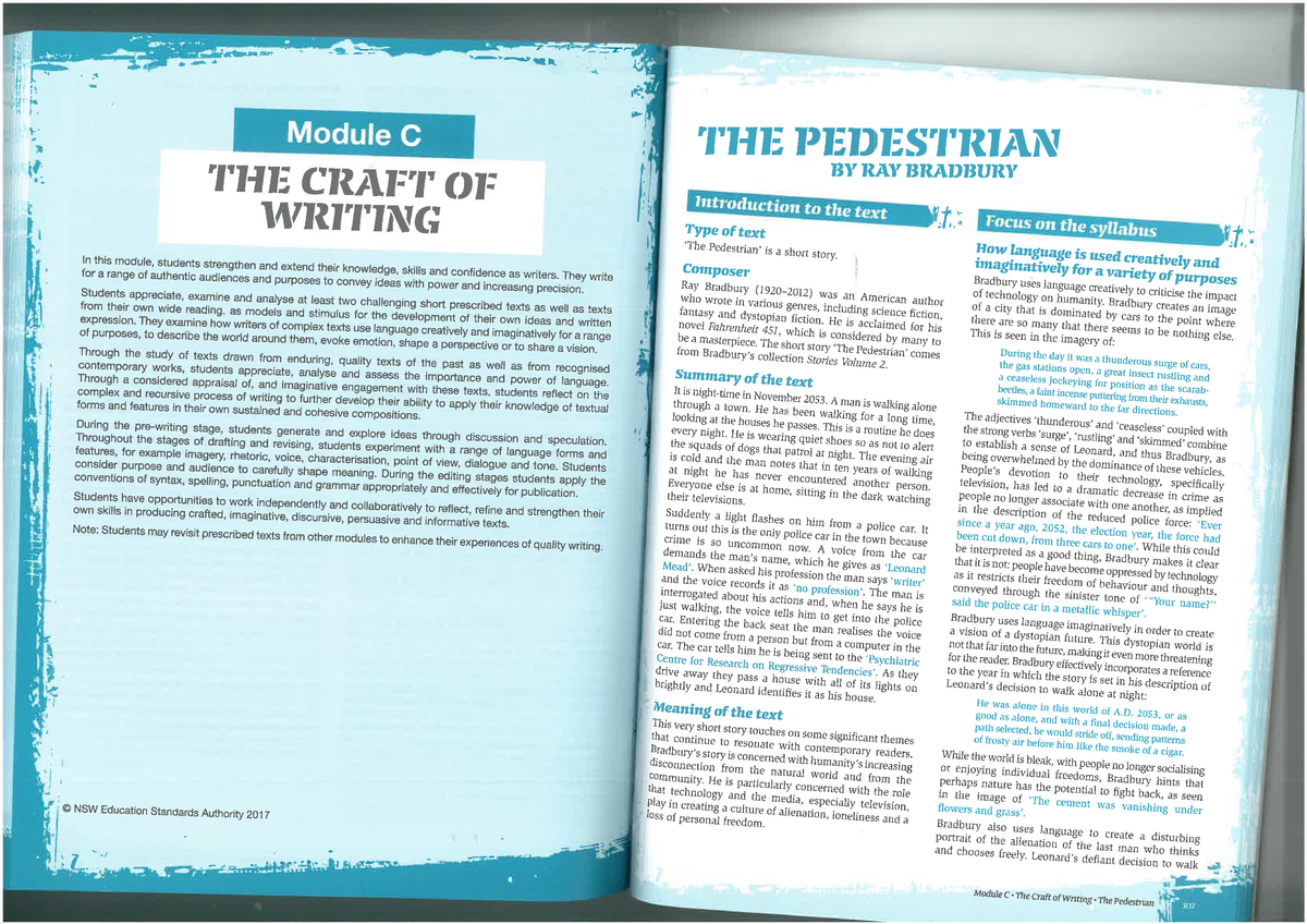 The Pedestrain - Study Notes - Hewes - Module C THE PEDESTRIAN RAY ...