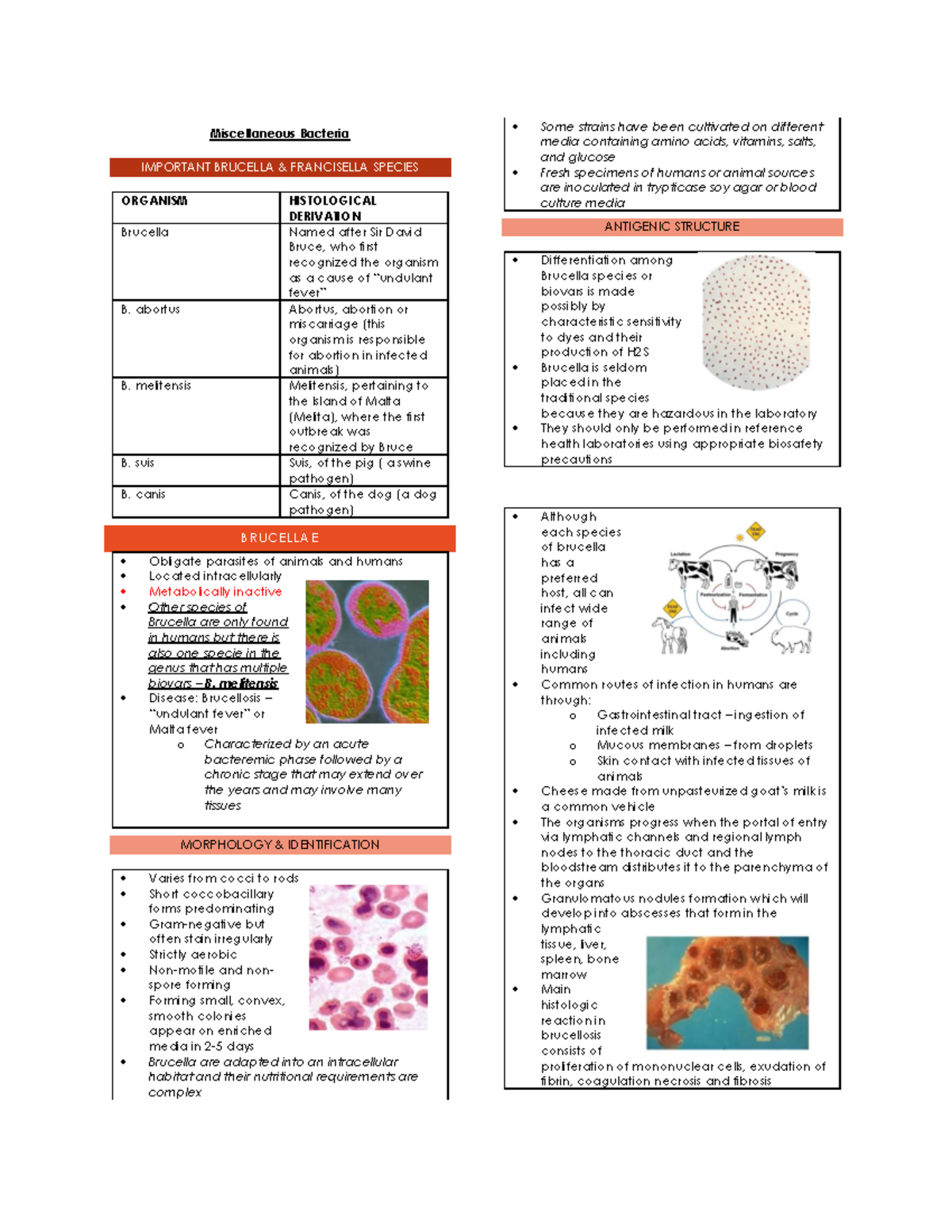 Miscellaneous Bacteria - Miscellaneous Bacteria IMPORTANT BRUCELLA ...