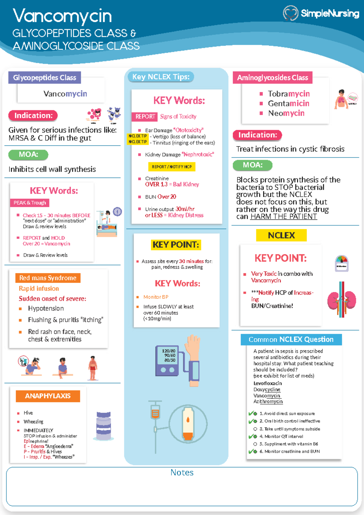 Pharm - Anti-Infectives - Antibiotics - Vancomycin Aminoglycosides ...