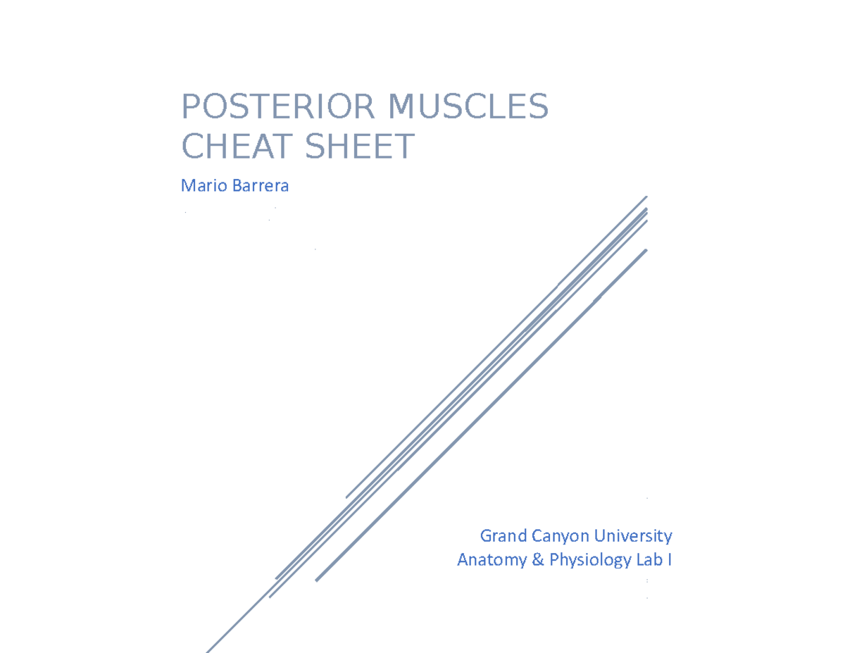 Posterior Muscles OIA Cheat Sheet (Short) - POSTERIOR MUSCLES CHEAT ...