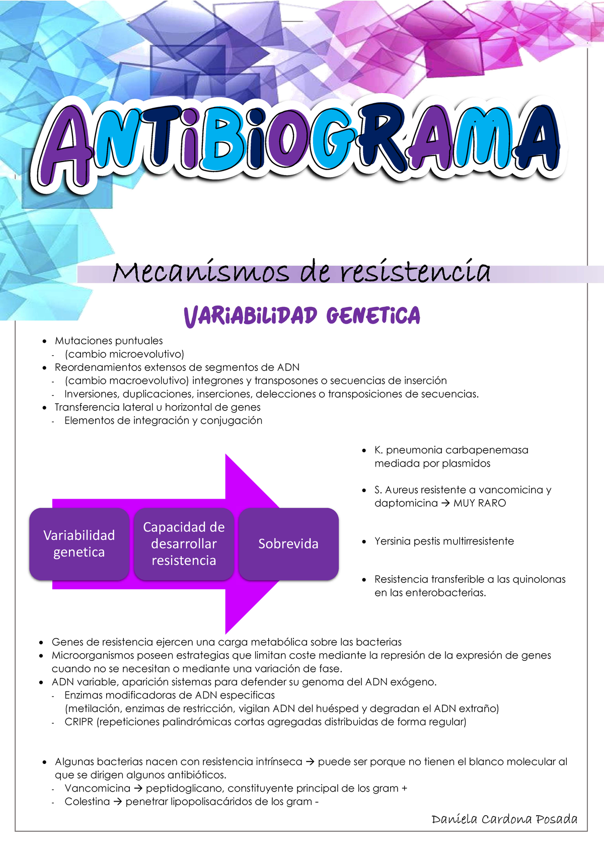 Antibiograma - enfoque depende el germen y el antibiotico - Mecanismos ...