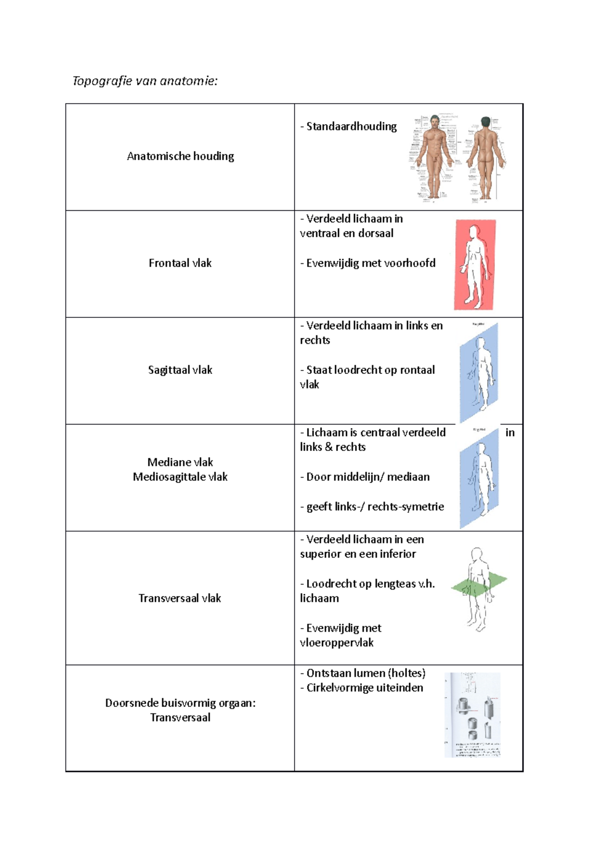 Topografie van anatomie - Topografie van anatomie: Anatomische houding ...