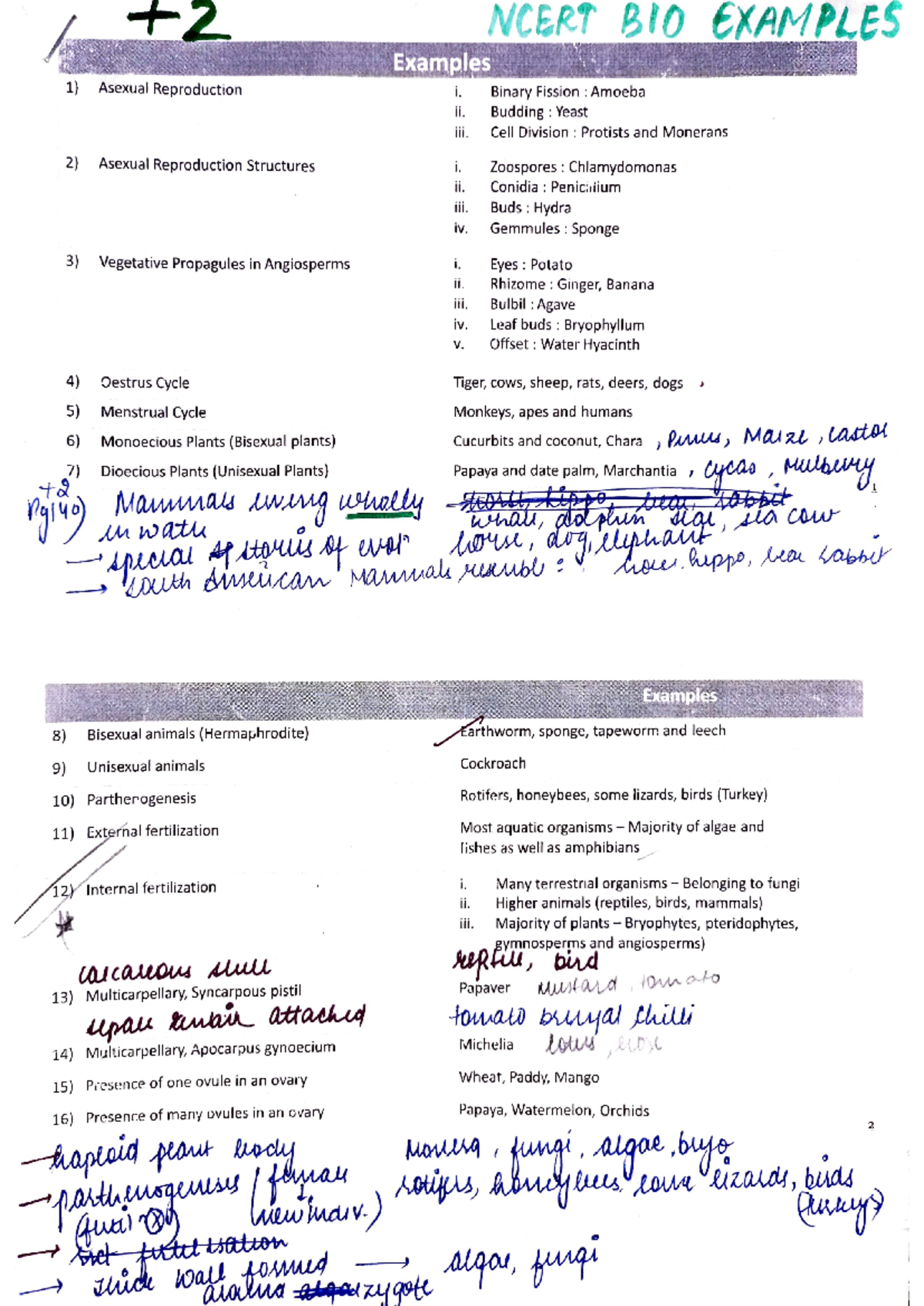 Ncert Bio Examples - 2 NCERT B10 EXAMPLES Examples 1) Asexual Reproduction Binary Fission ...