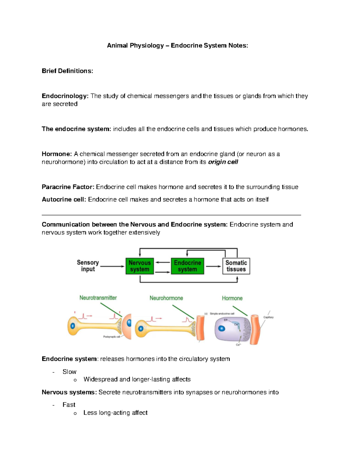 BIO 3303 Endocrine System - Animal Physiology – Endocrine System Notes ...