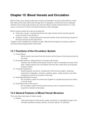 Notes in Human Reproduction - HUMAN REPRODUCTIVE SYSTEM Also known as ...