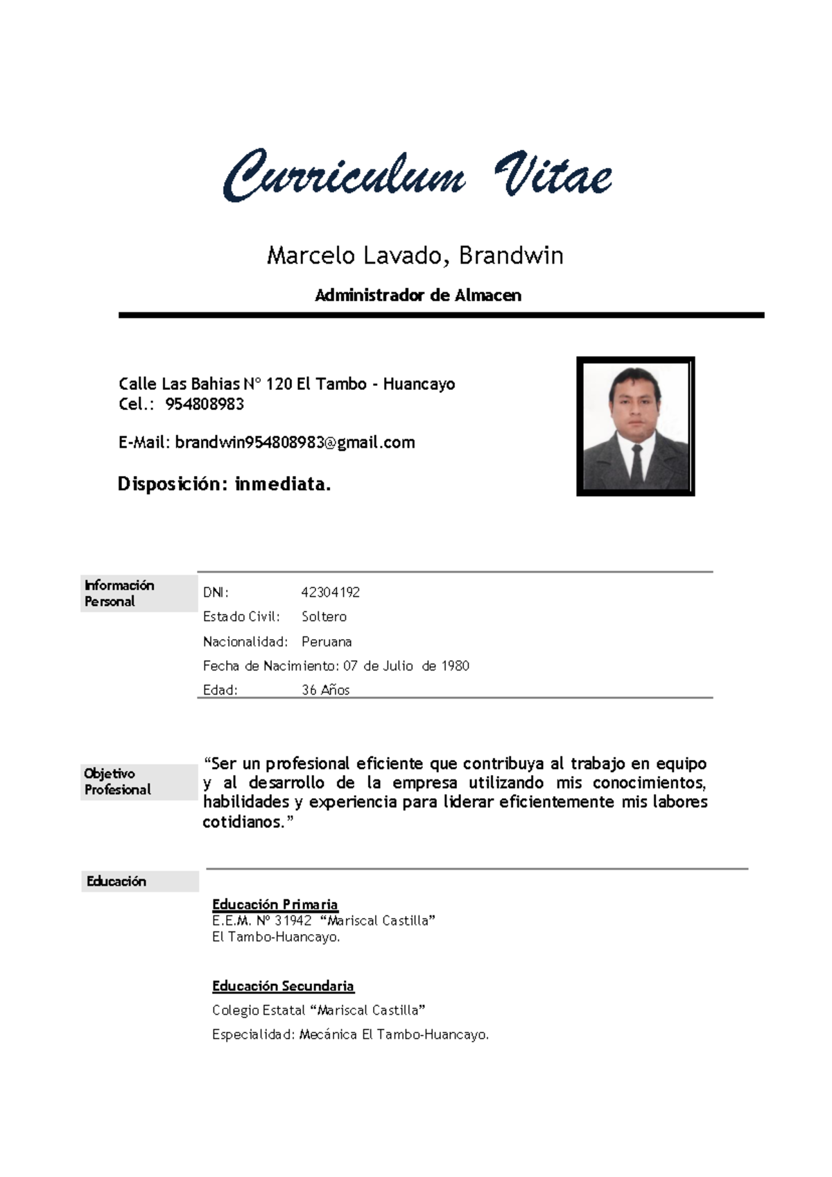 Elaboracion Curriculum - Curriculum Vitae Marcelo Lavado, Brandwin ...