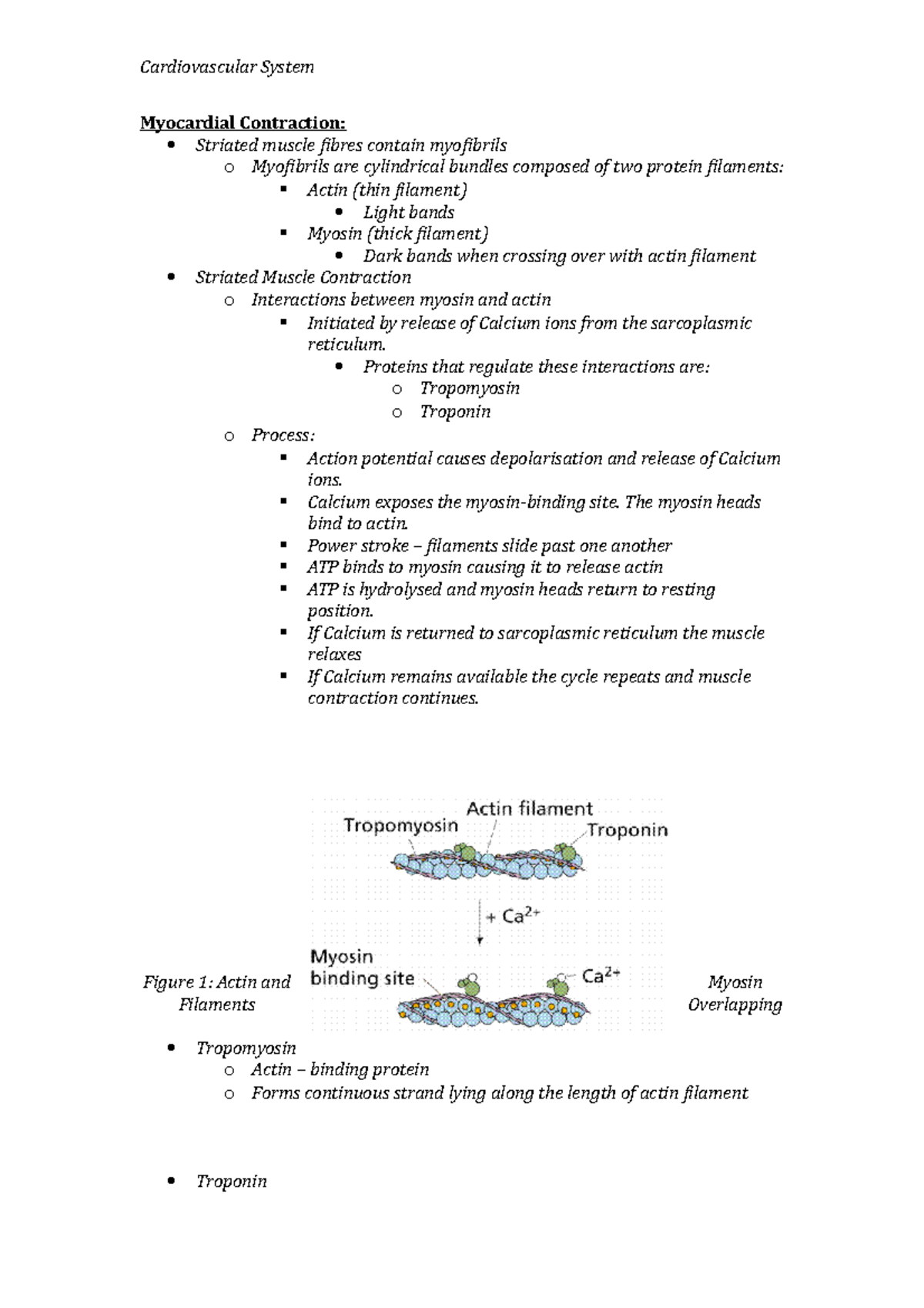 Biochemistry Cardiovascular System Lecture Notes - Cardiovascular ...