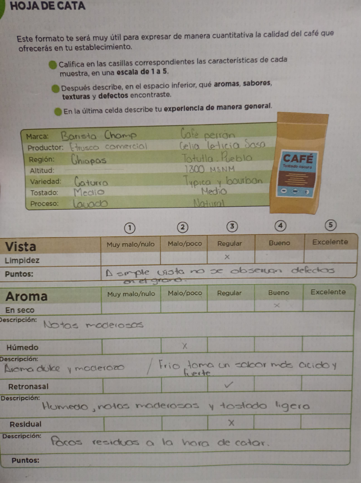 Chemex-cata - HOJA DE CATA Este formato te será muy útil para expresar ...