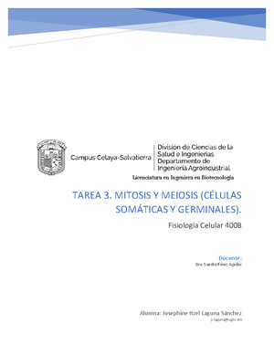 Fotoautótrofos - Apuntes 4 - FOTOAUTÓTROFOS Los organismos ...