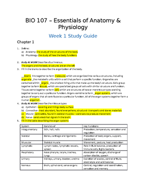 Chapter 4- Anatomy - BIO 107 – Essentials of Anatomy & Physiology Week ...