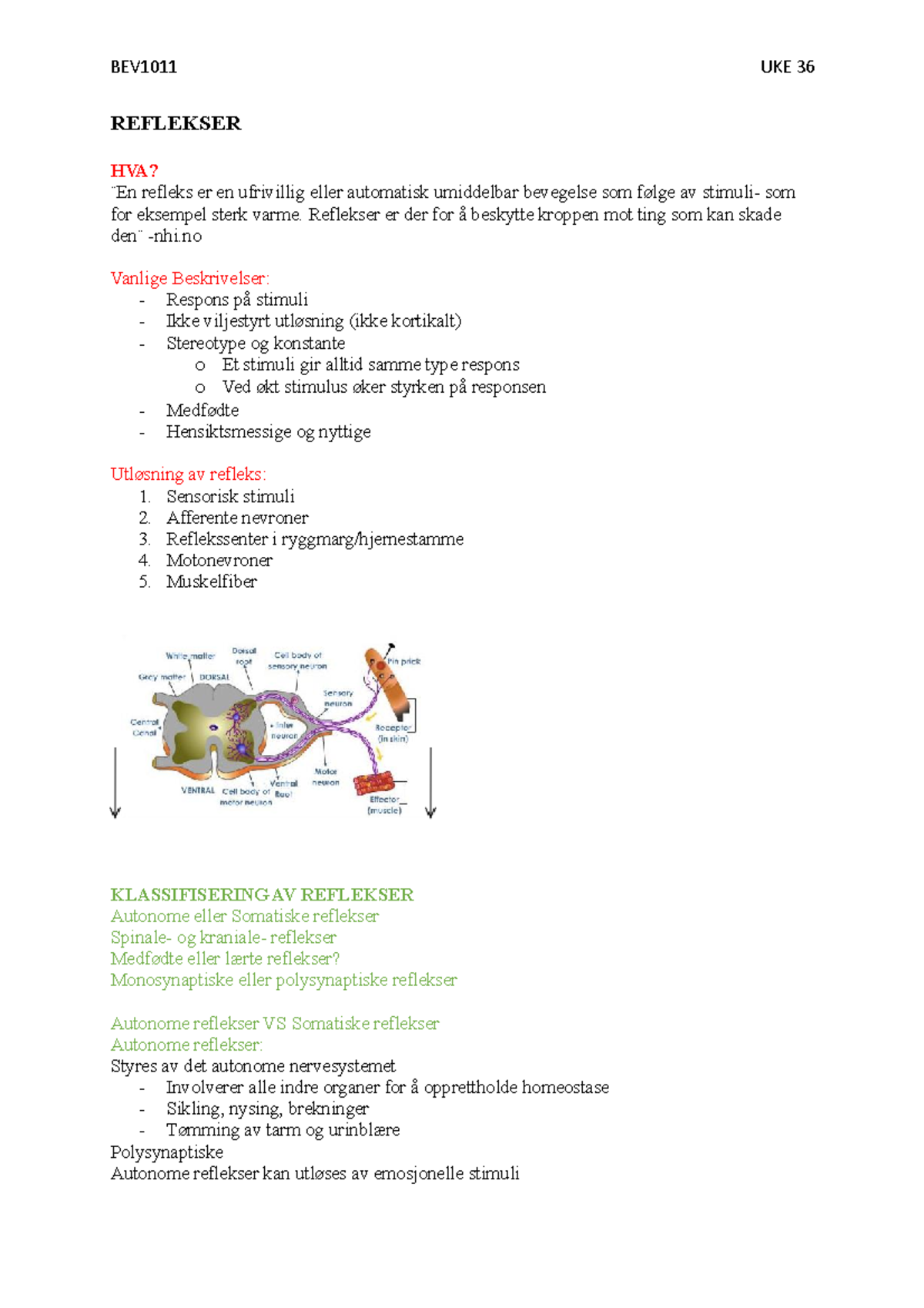 BEV1011 Reflekser - REFLEKSER HVA? ̈En refleks er en ufrivillig eller automatisk umiddelbar ...