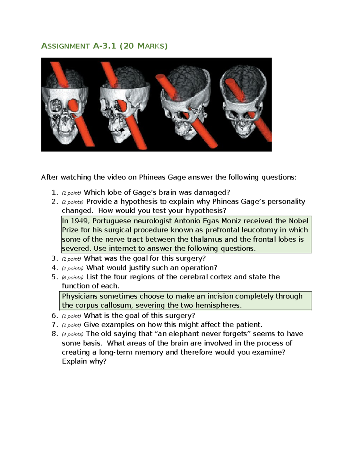 SCN3230-A-3.1 Assignment - ASSIGNMENT A-3 (20 MARKS) After watching the video on Phineas Gage ...
