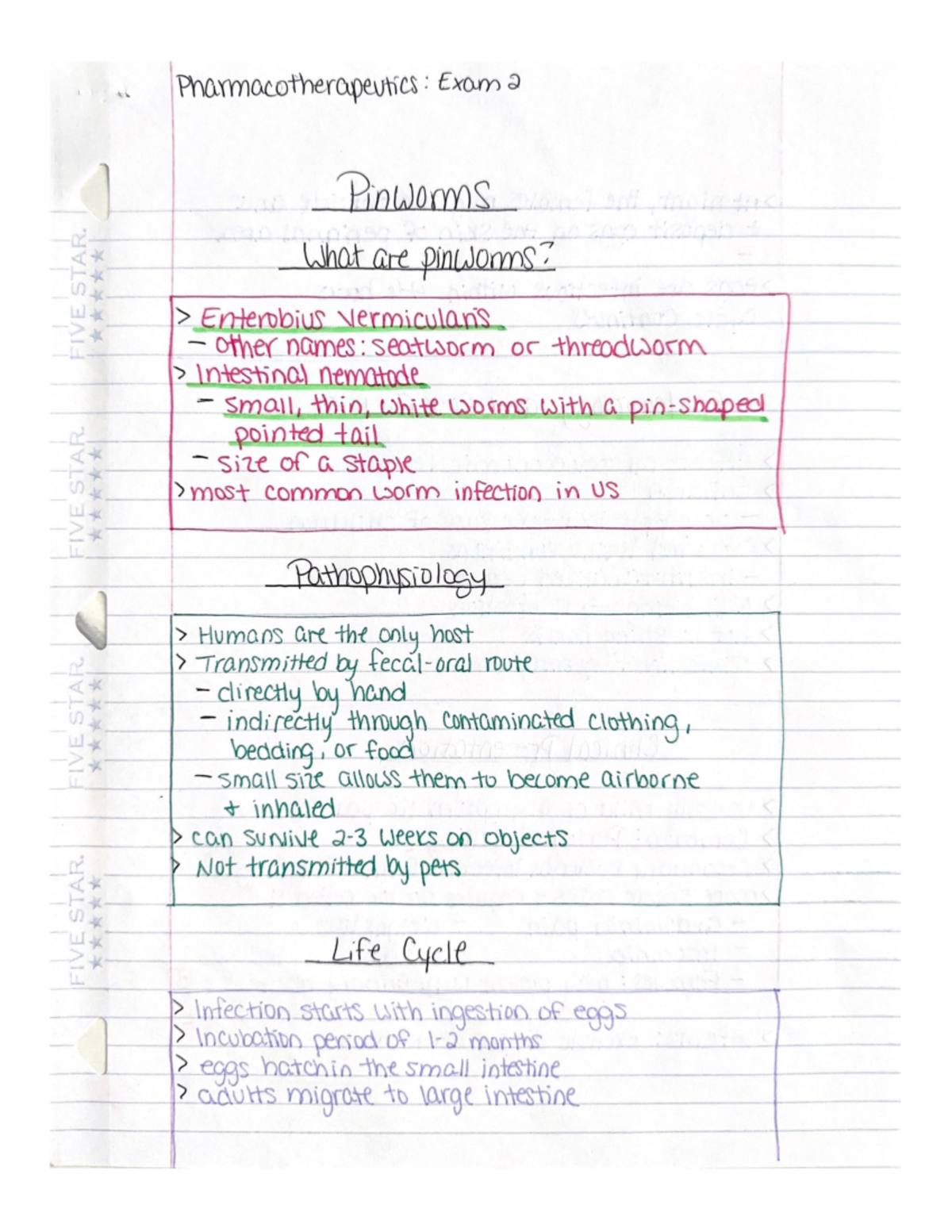 Pinworms - Exam 2 - PHA 413 - Studocu