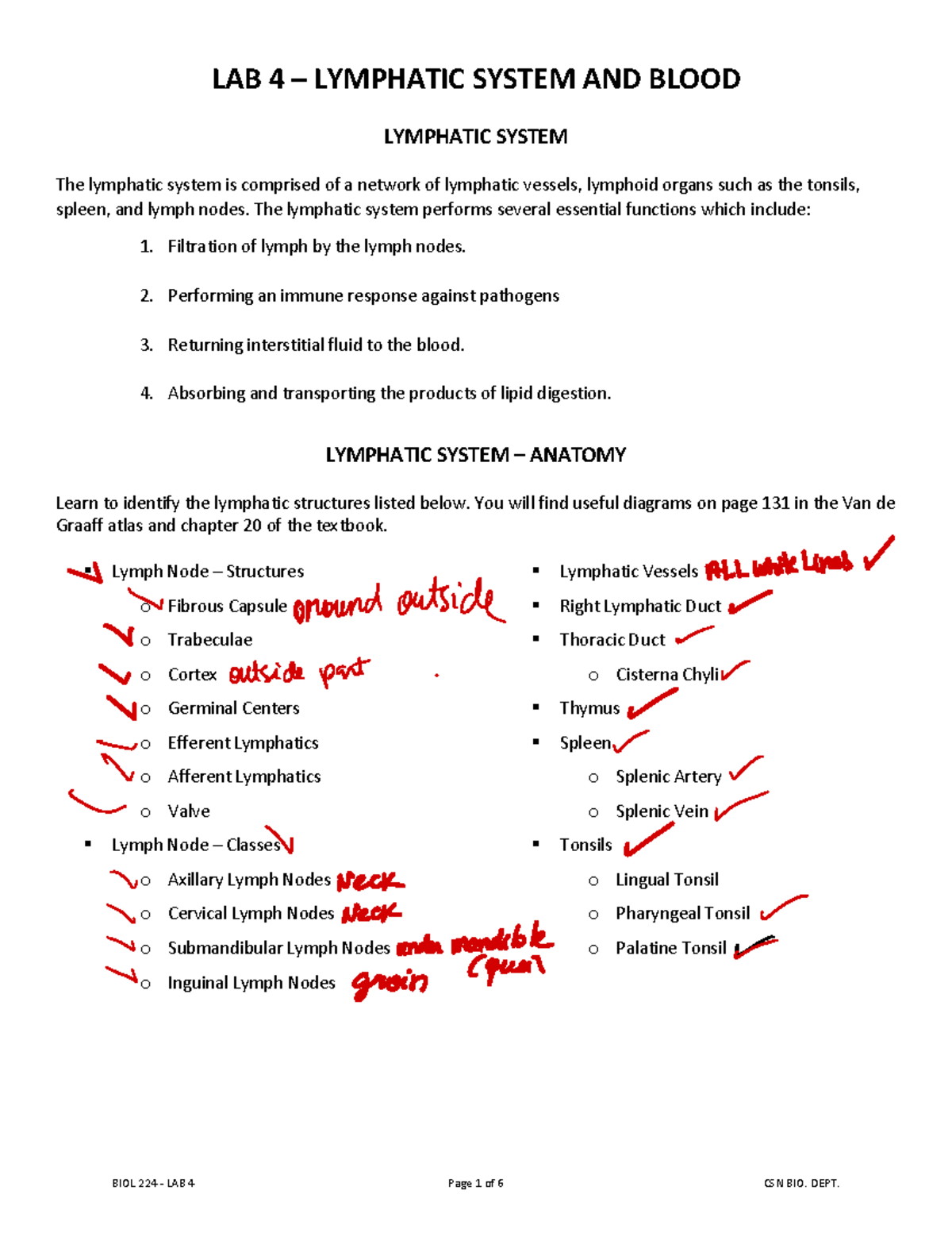 Bio 224 Lab Unit 2 - Notes with drawing - LAB 4 – LYMPHATIC SYSTEM AND ...