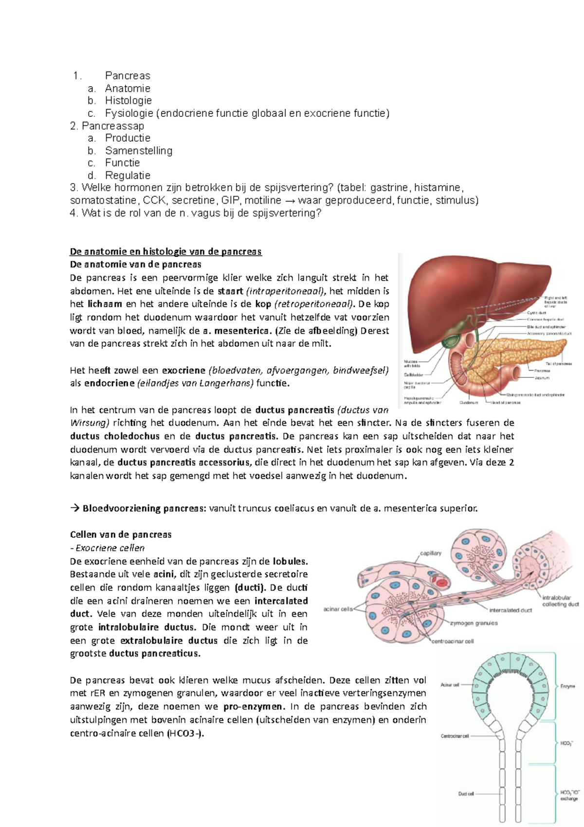 Verteer En Verweer Casus 3 Pancreas A Anatomie B Histologie C
