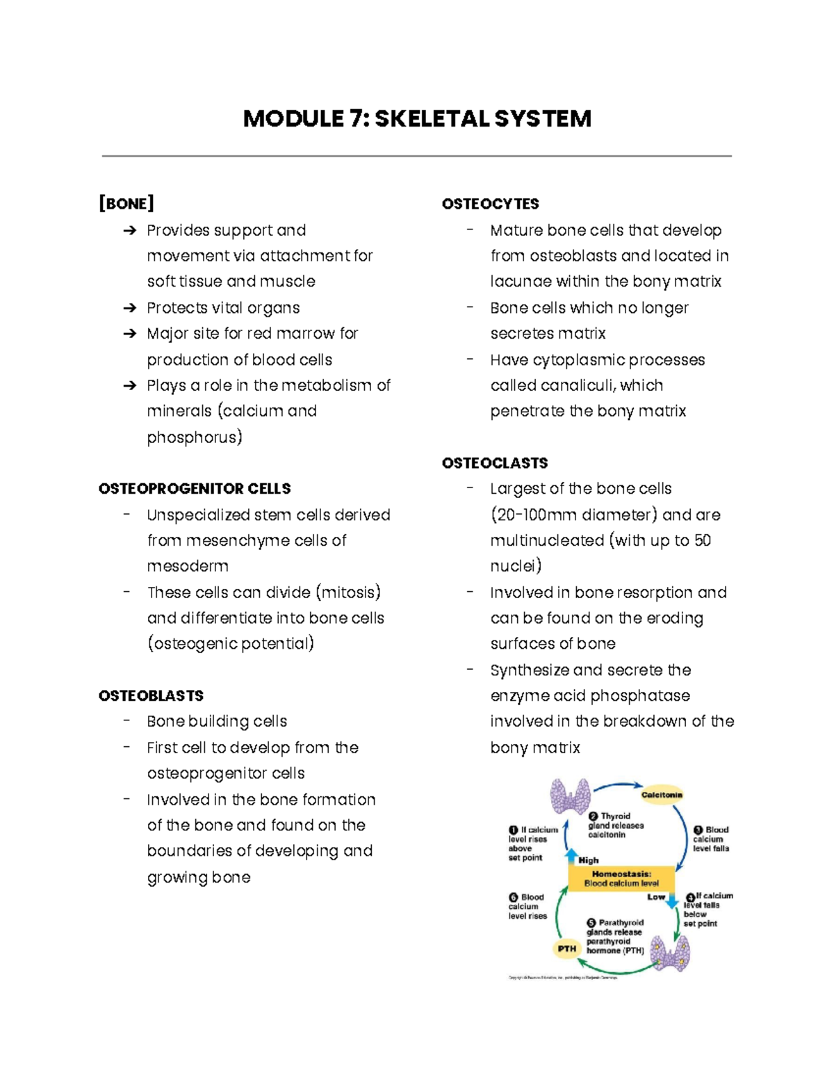 Reviewer IN COMP ANA LEC - MODULE 7: SKELETAL SYSTEM [BONE] Provides ...