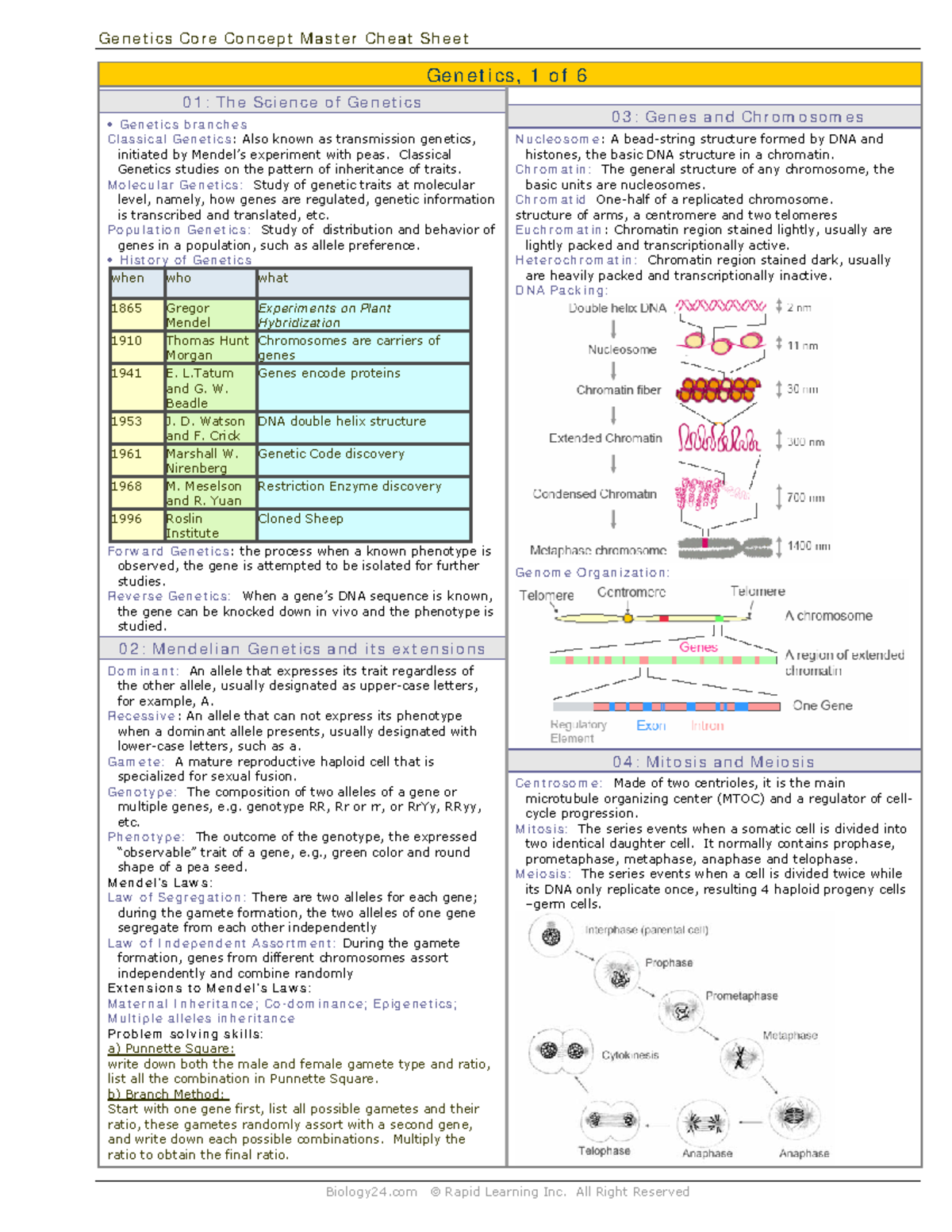 Genetics Notes - Ge n e t i cs, 1 o f 6 0 1 : Th e Sci e n ce o f Ge n ...