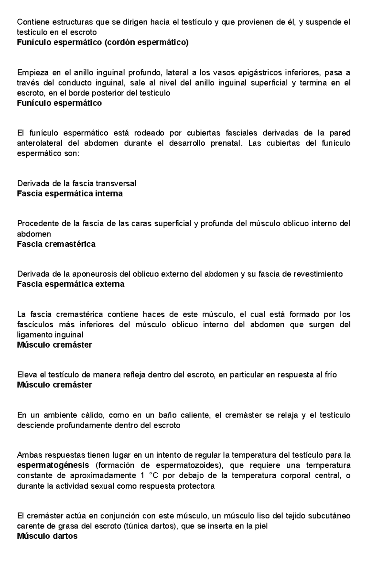 Abdomen Cap 5 (funículo espermatico, escroto y testículos) - Contiene ...
