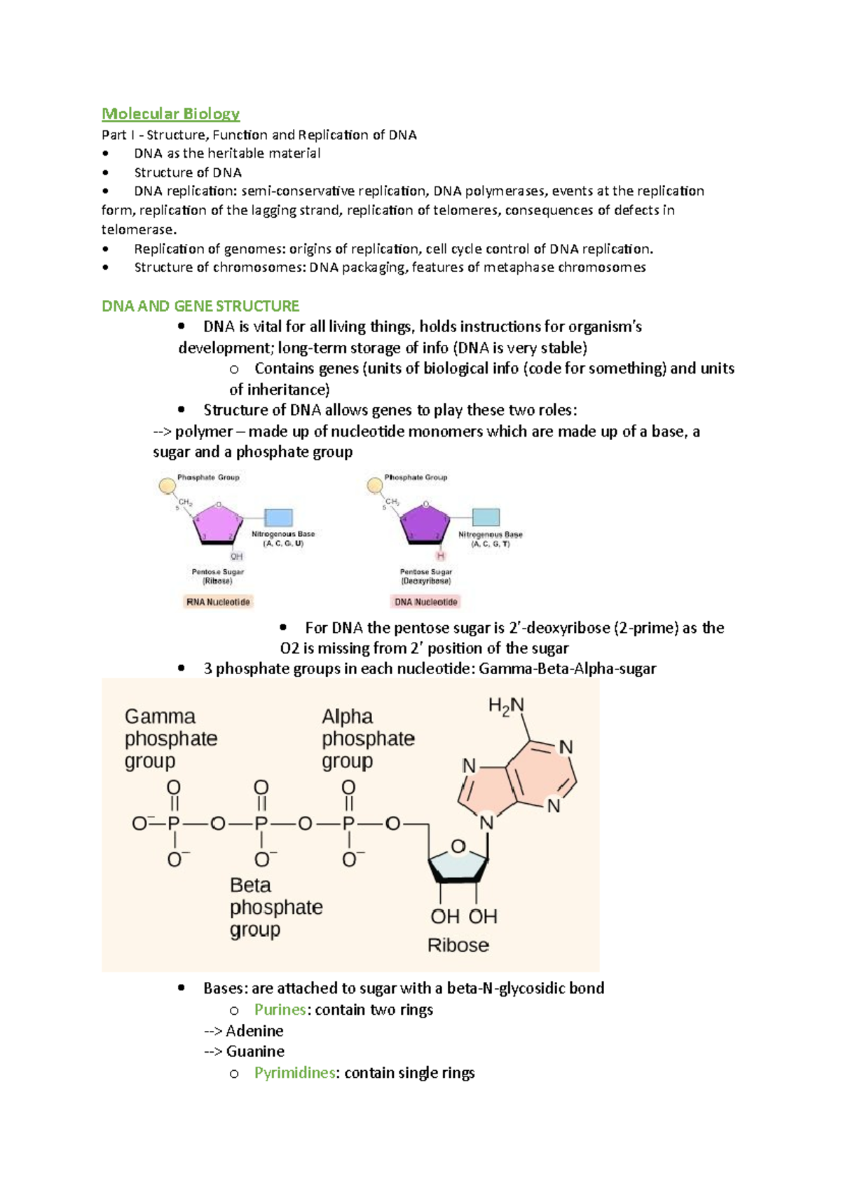Molecular Biology 1 - Lecture notes part 1 - Molecular Biology Part I ...