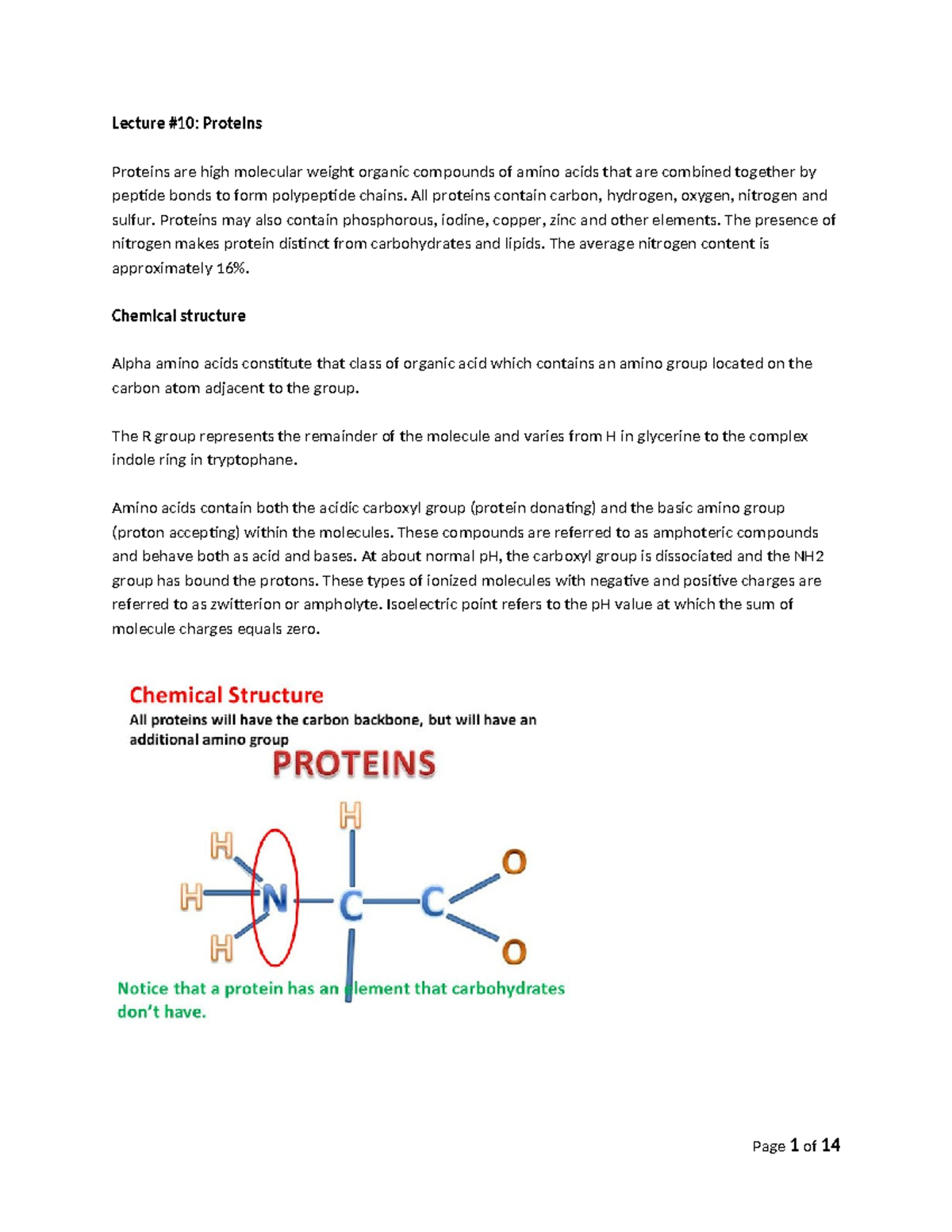 Lecture-Proteins-1 - Lecture notes that has answers - Lecture #10 ...