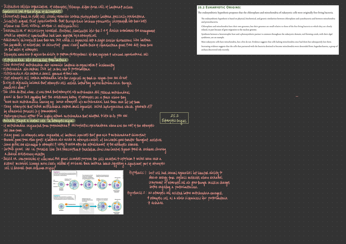 Bioao 1 - This note is on chapter 25.2 Module 1 Evolution - Distinctive ...