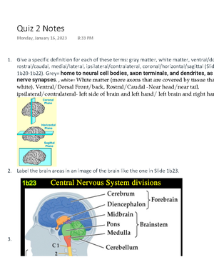 Object Recognition and Its Disorders - Focusing on the Inferotemporal ...