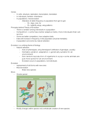 Lab Research Paper - Seed Germination Lab Report Introduction: Seed ...