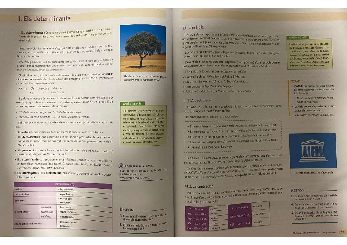Catalan - Pàgina del llibre de text sobre els determinants i la flexió ...