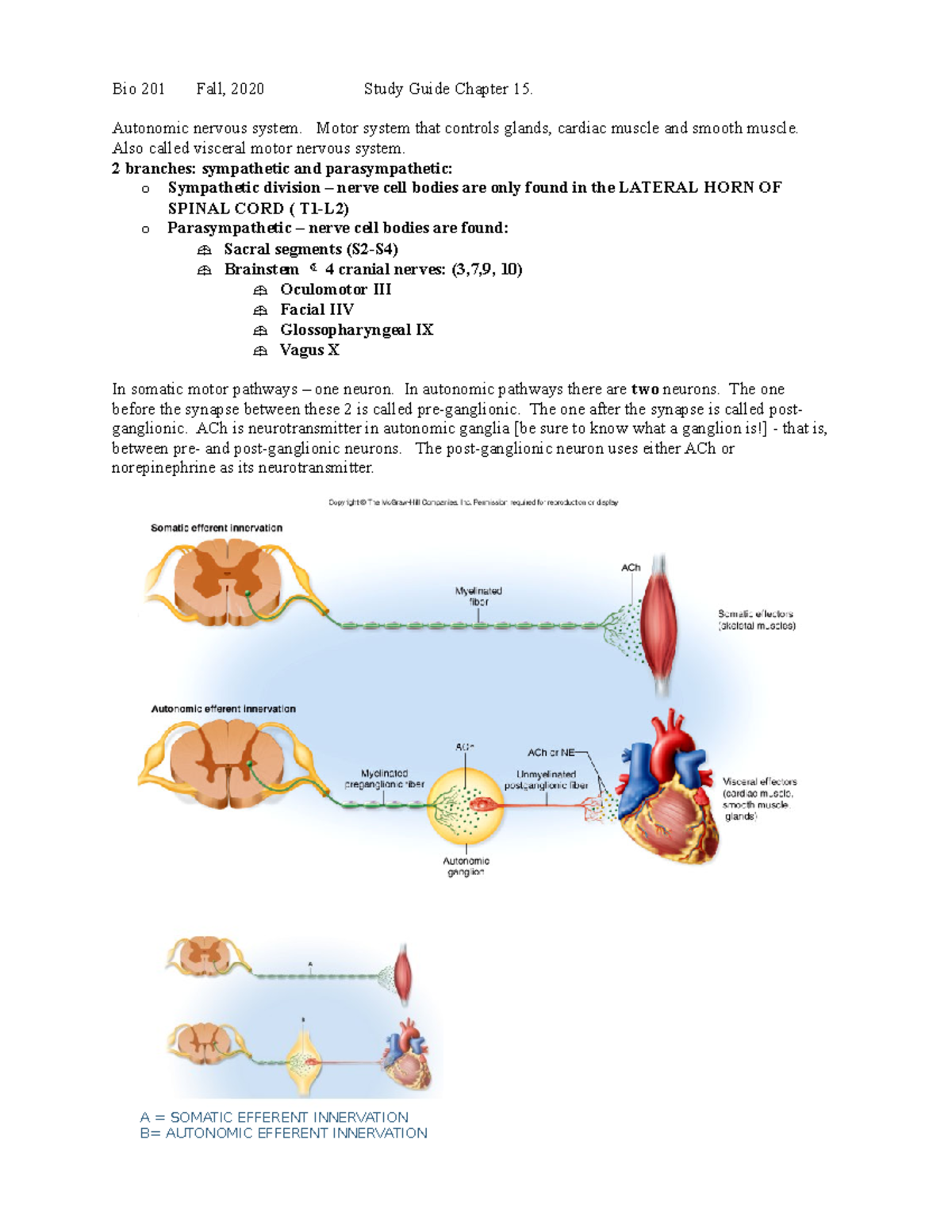 Study Guide Ch 15 Fa20 - chapter 15 - Anatomy and Physiology: the Unity ...