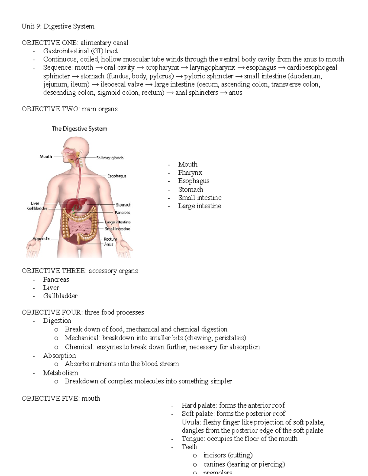Unit 9- Digestive System - Unit 9: Digestive System OBJECTIVE ONE ...
