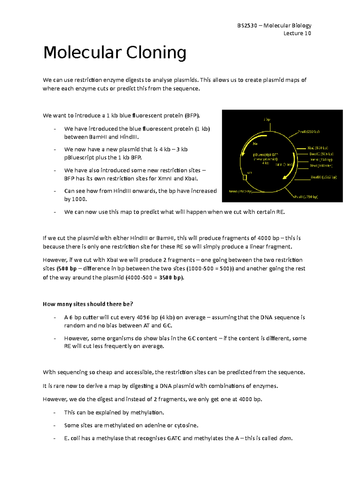 10 - Molecular Cloning - BS2530 – Molecular Biology Lecture 10 ...