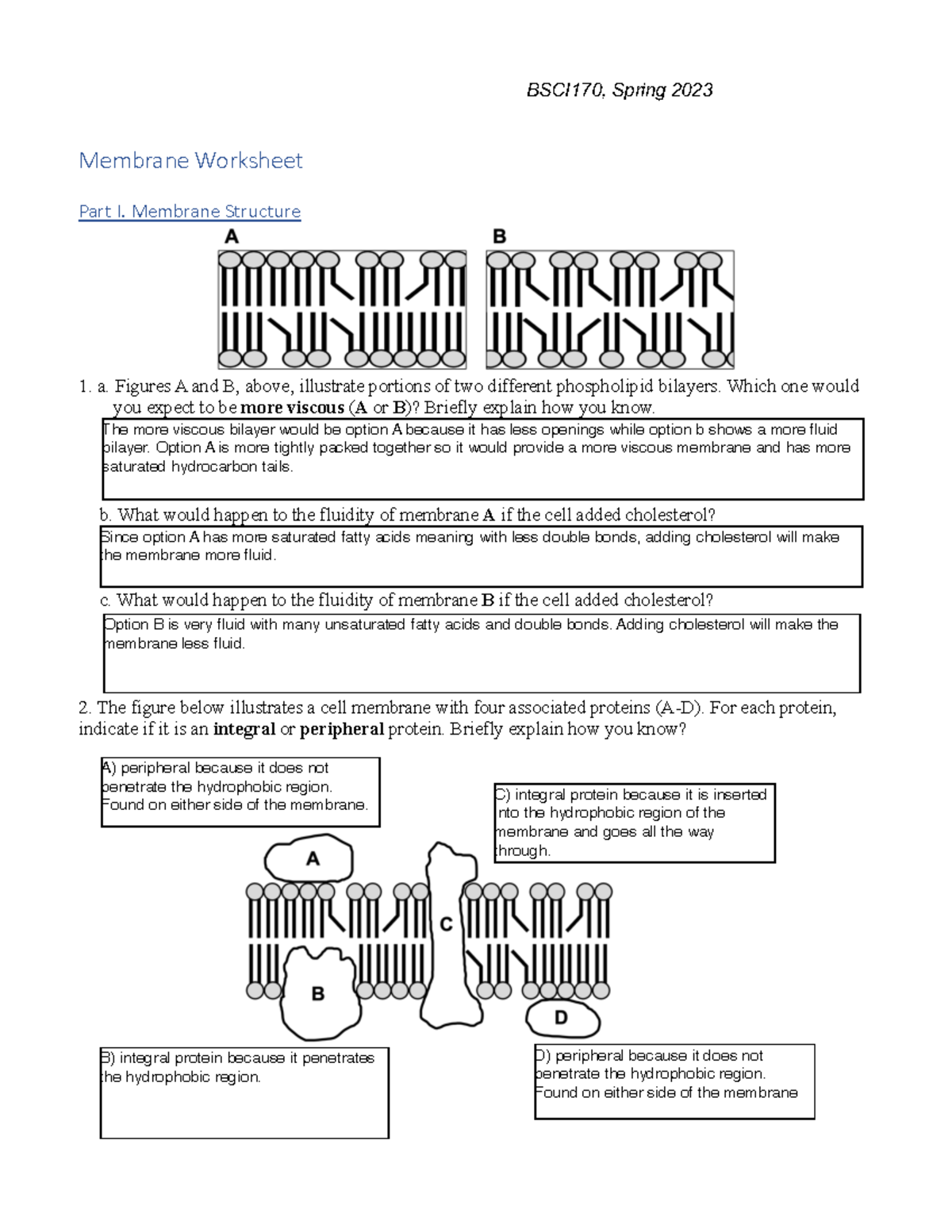 Membrane WS Abbie Kemp - BSCI170, Spring 2023 Membrane Worksheet Part I ...
