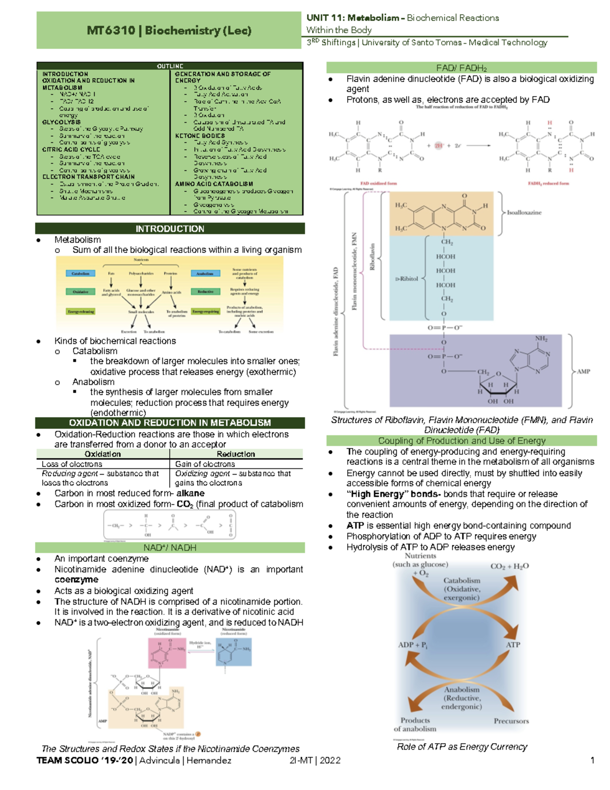 Biochem 11 Metabolism - MT6310 | Biochemistry (Lec) Within the Body 3 ...