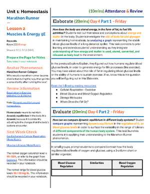 Lesson 1 Unit 1 Homeostasis Marathon Runner - Unit 1: Homeostasis ...