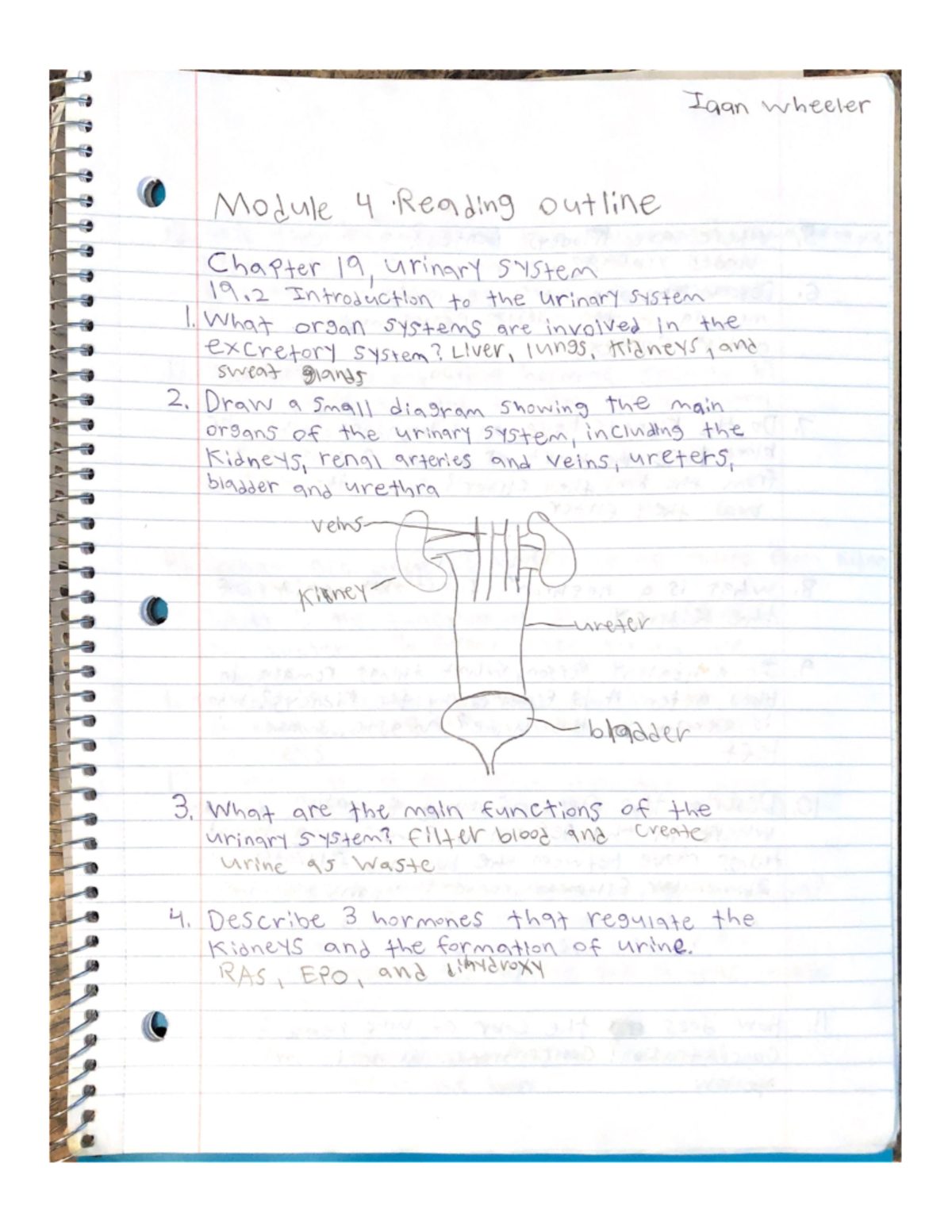 Module 4 Outline - BIOL2001C - Studocu