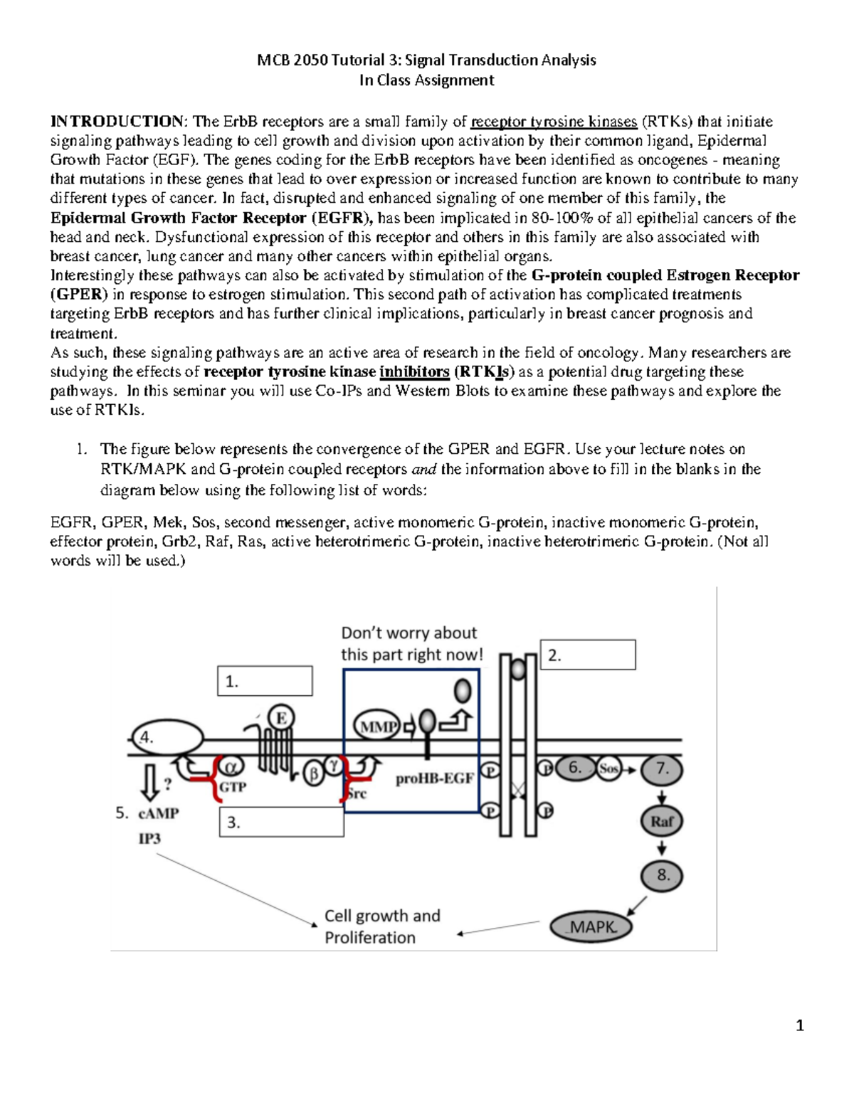 F22 Signal transduction Seminar 3 PDF - In Class Assignment ...