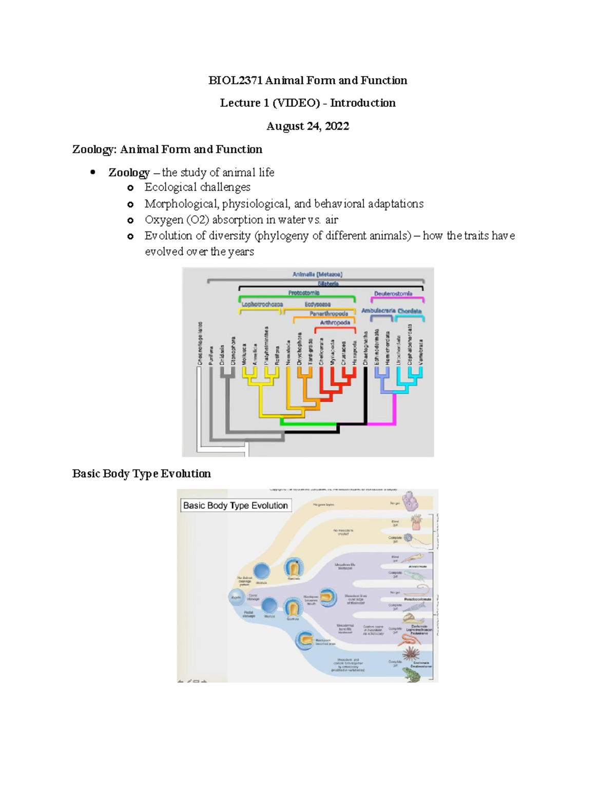 BIOL2371 Lecture 1 - BIOL2371 Animal Form and Function Lecture 1 (VIDEO ...