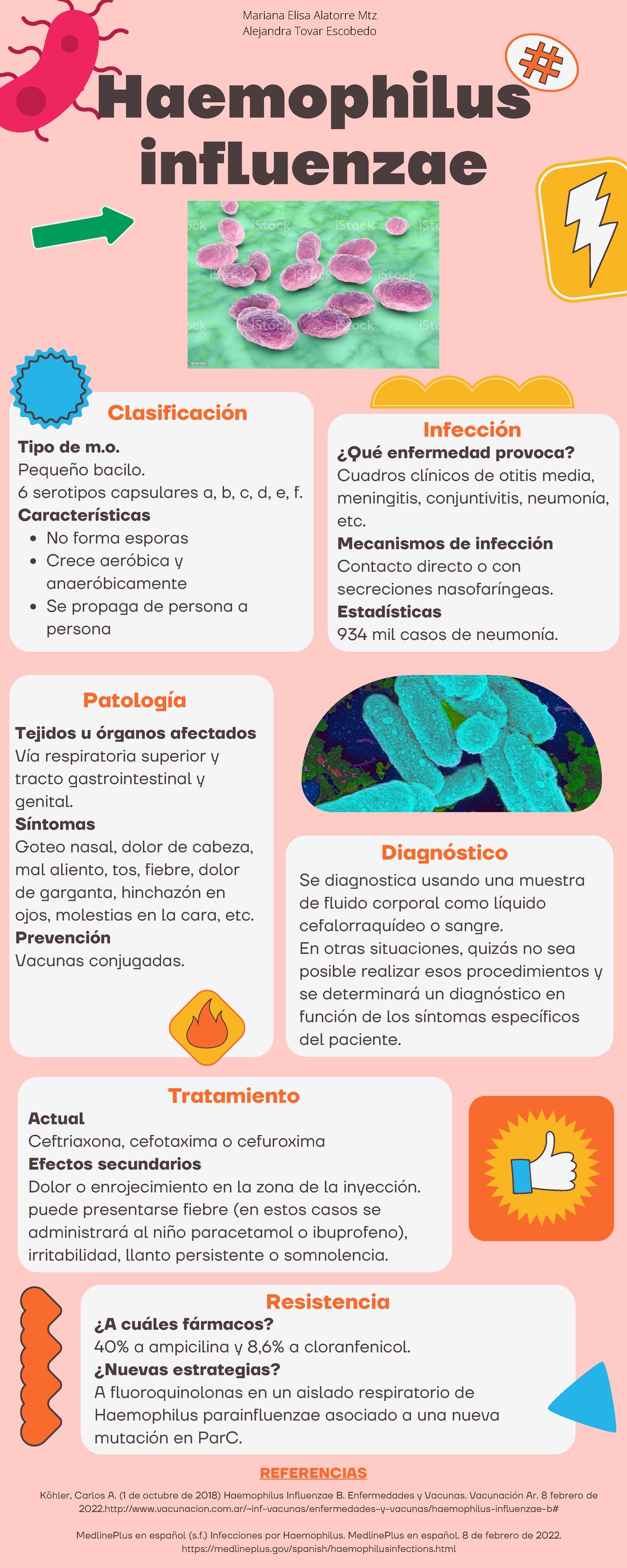 Haemophilus influenzae, virus y bacterias - Haemophilus influenzae ...