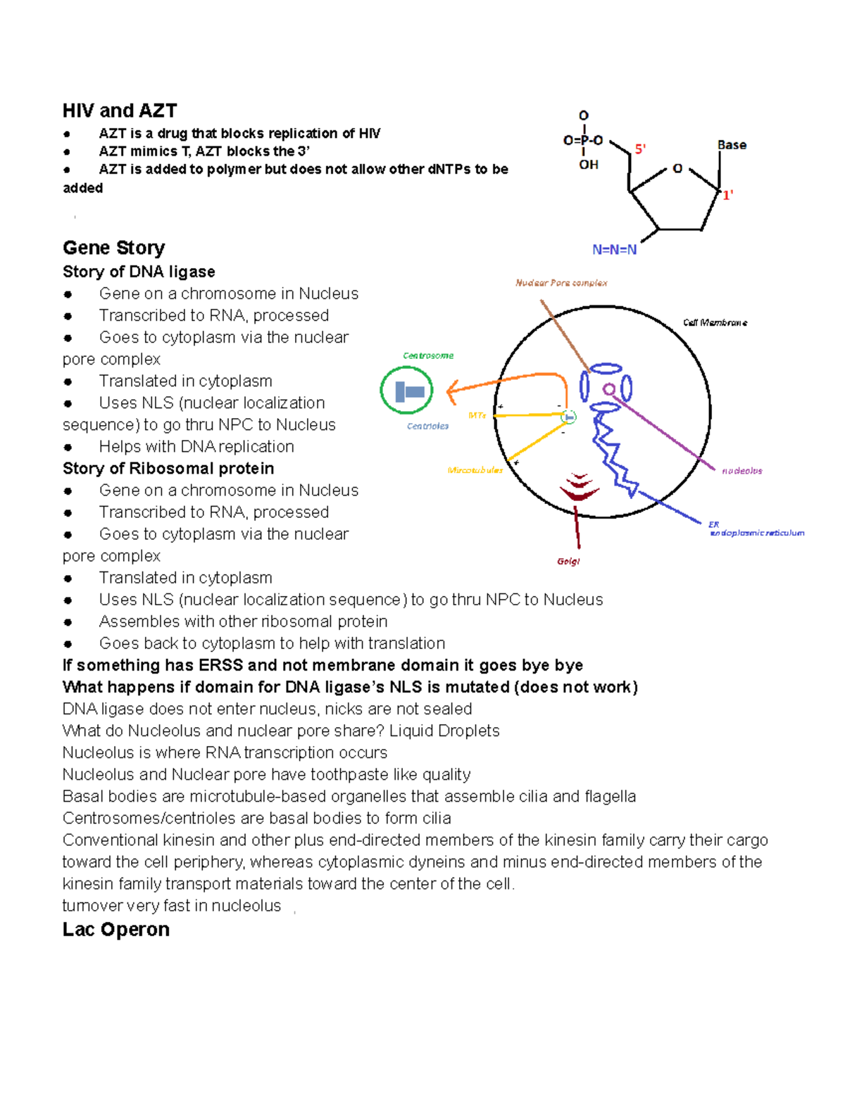 MCB Study - Over entire year - HIV and AZT AZT is a drug that blocks ...