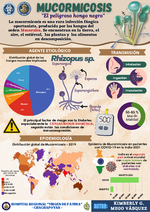 Molusco contagioso - INFOGRAFIA - Actualmente es considerada una ETS ...