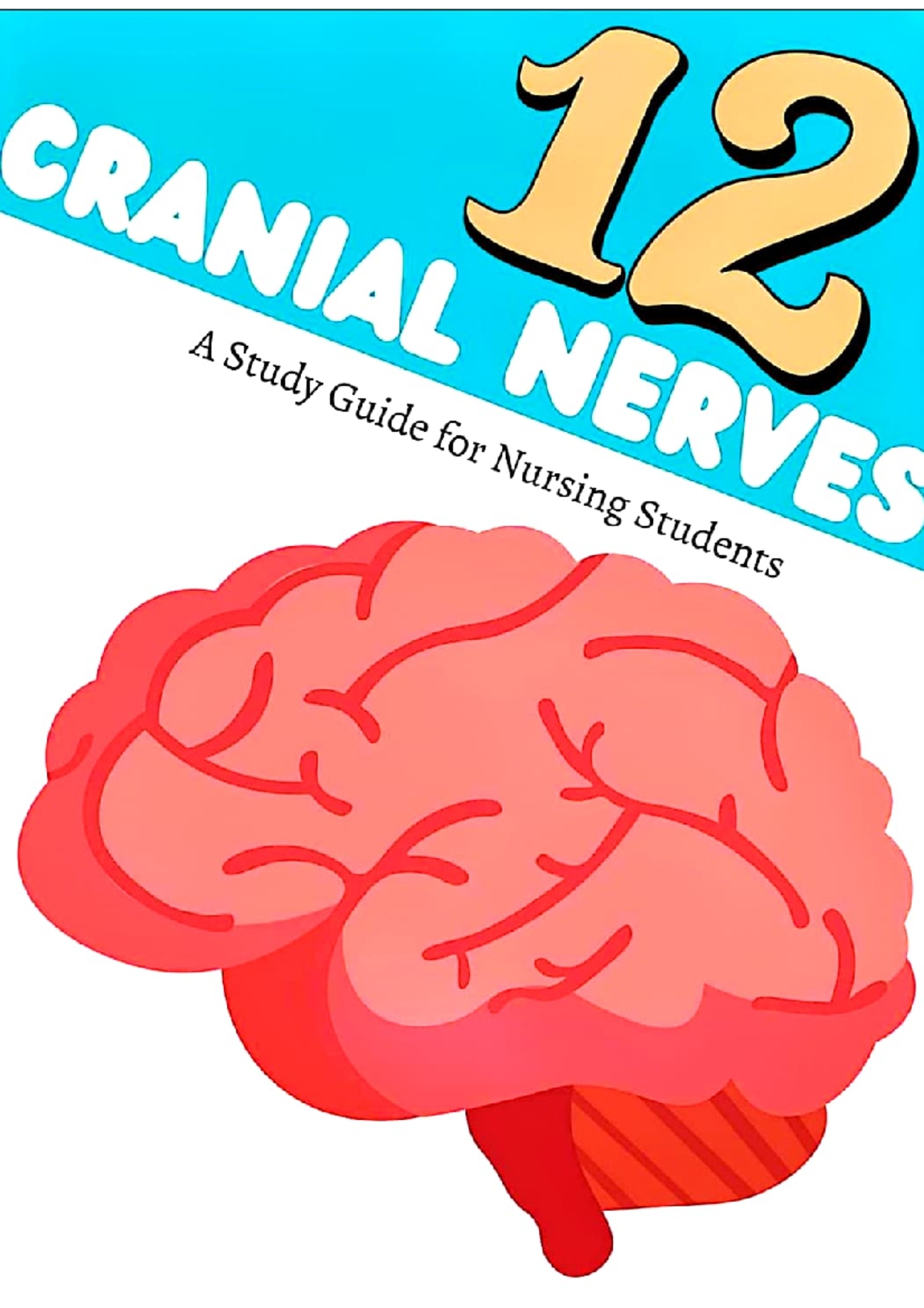 Cranial-Nerves - Theoretical Foundation of Nursing - Studocu