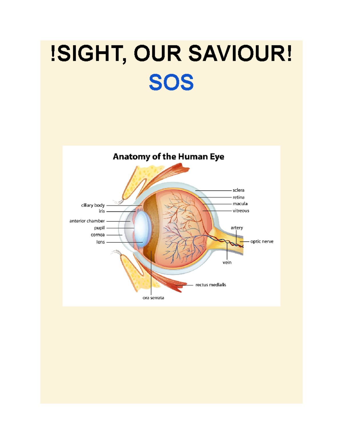 Eyes - note - !SIGHT, OUR SAVIOUR! SOS Light is electromagnetic ...