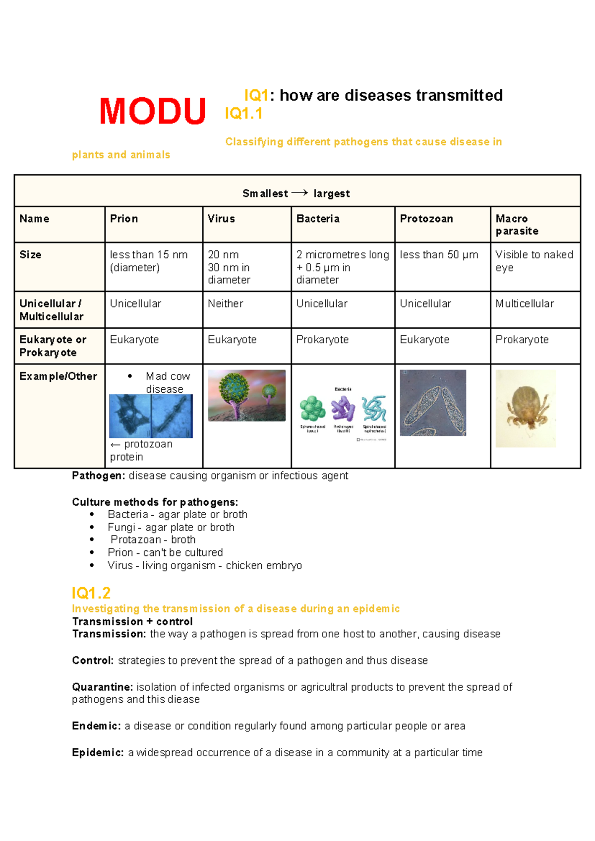 MOD 7- infectious diseases - IQ1: how are diseases transmitted IQ1. Classifying different ...