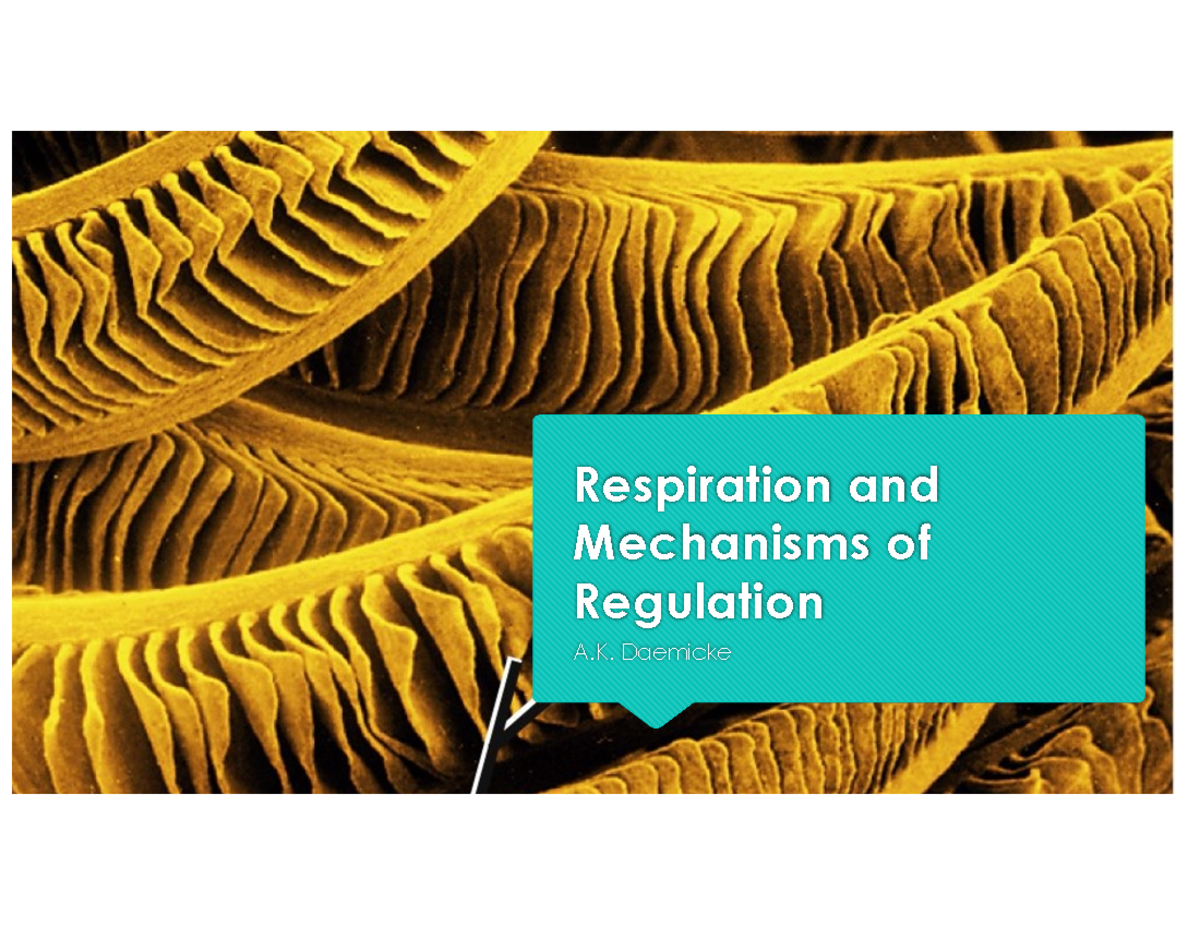 10. Respiration - Lecture notes, relevant for test. - Respiration and ...