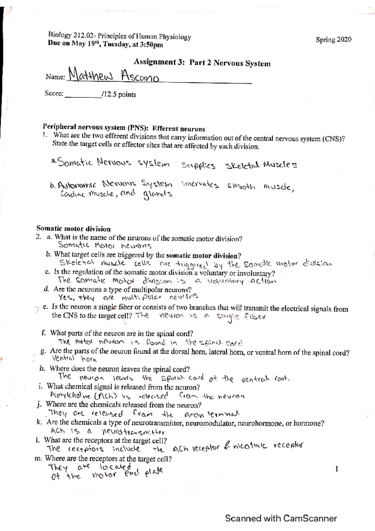 Biology 212 Assignment 3 Part 2 Nervous System Study Guide- Complete ...