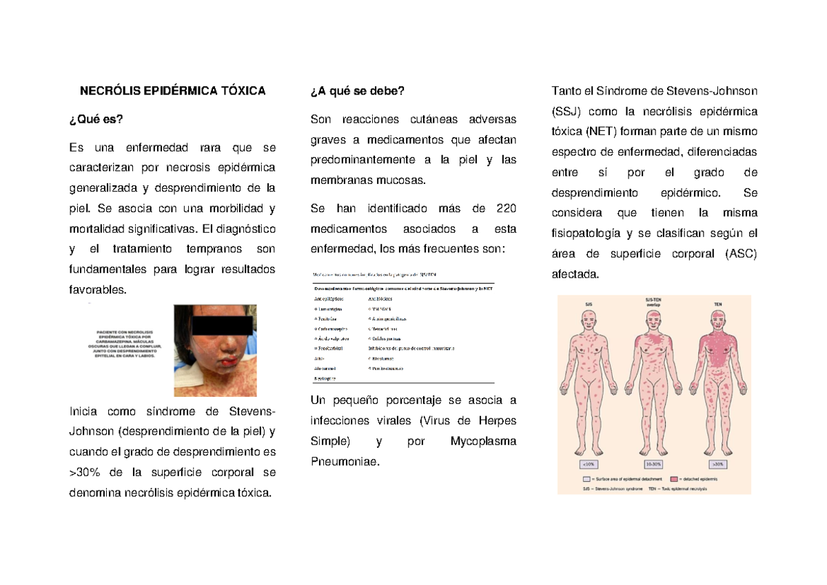 Necrólis Epidérmica Tóxica - NECRÓLIS EPIDÉRMICA TÓXICA ¿Qué es? Es una ...